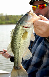 Home - Rend Lake Tourism